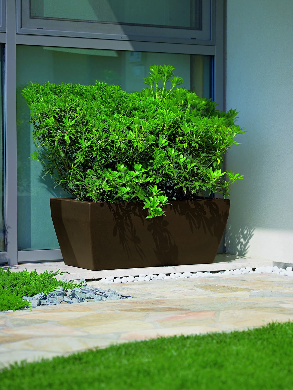 Finest Quality Innovative Italian Planters: Exclusive Designer Planters ...