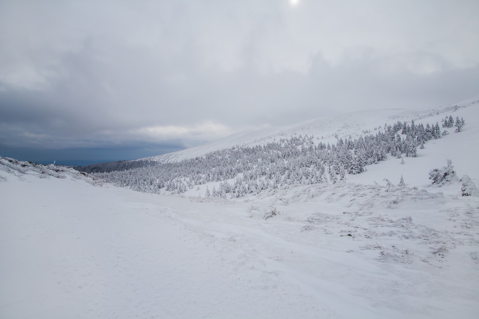 Zao Snow Monsters ทุ่งปีศาจหิมะที่ซาโอะ