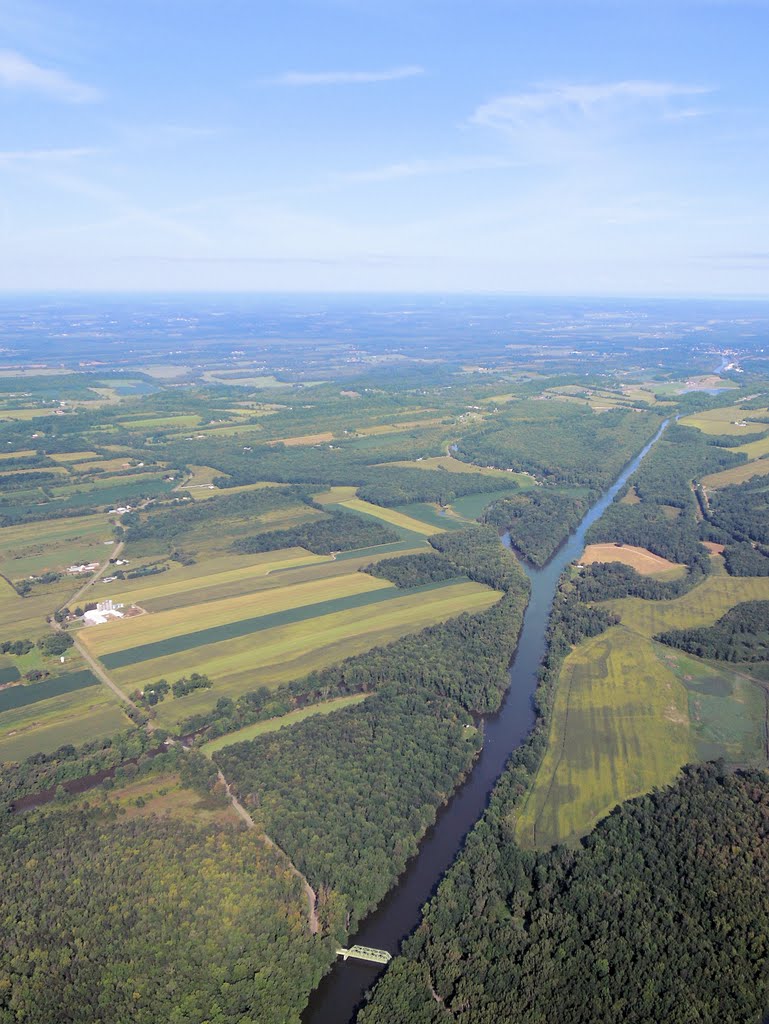 Photographic Logbook: A Bird's Eye View