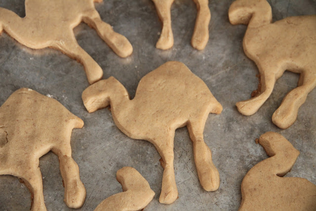 Sweet Petunia's Bake Shoppe: CAMEL COOKIES!!!!!