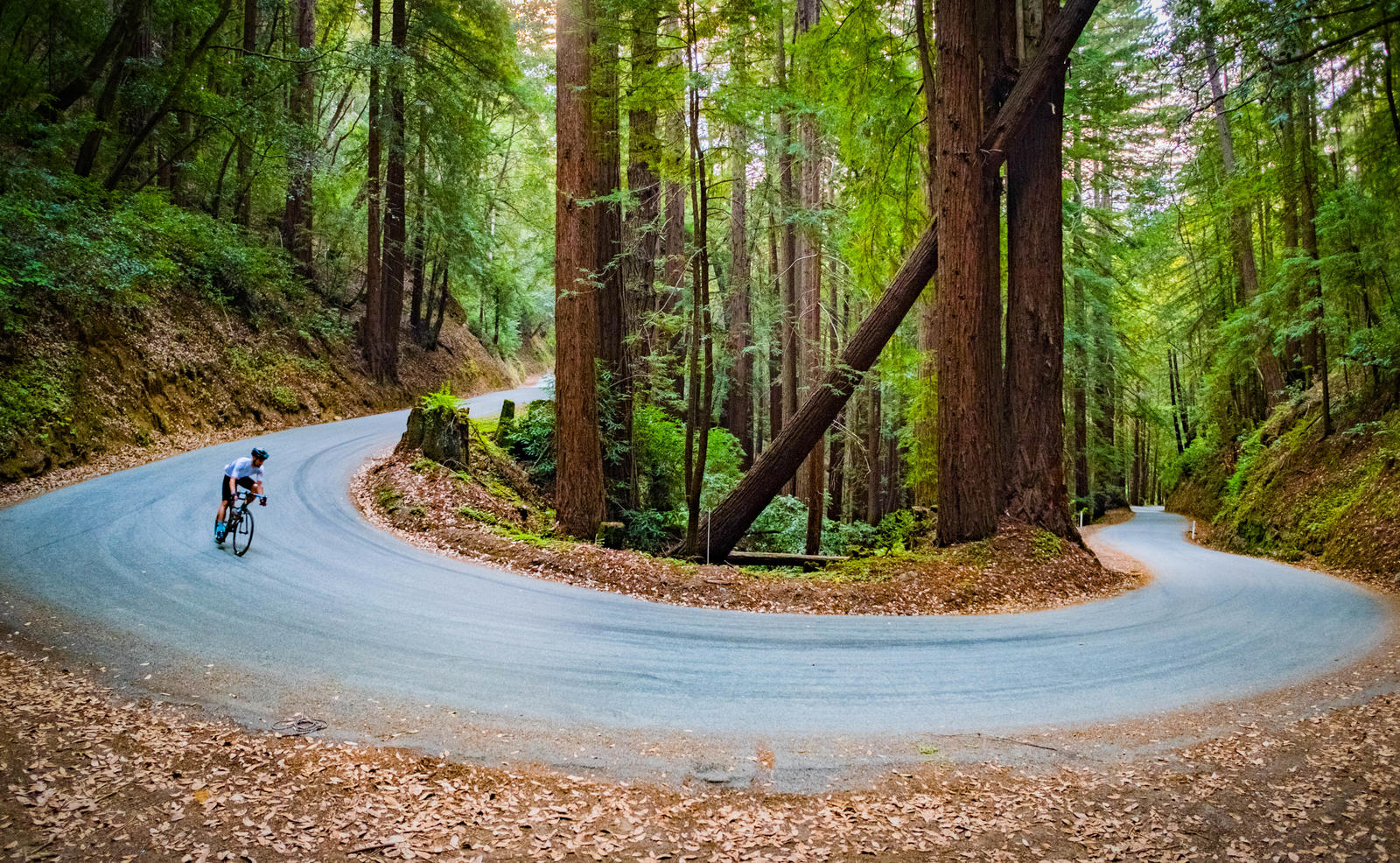 Ble Cycling Club -The blog: 15η εβδομάς του 2018