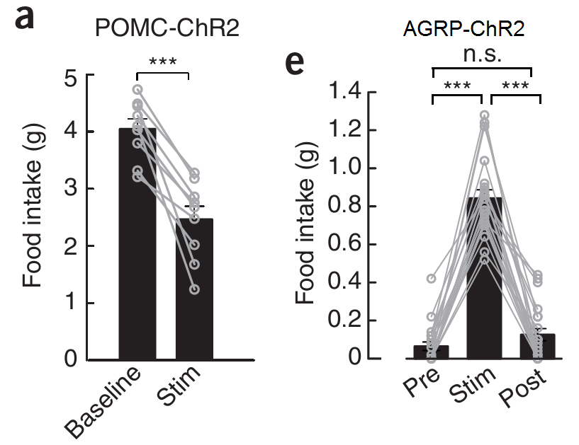 ...And You Will Know Me By The Trail of Papers: Walk Along the Paper ...