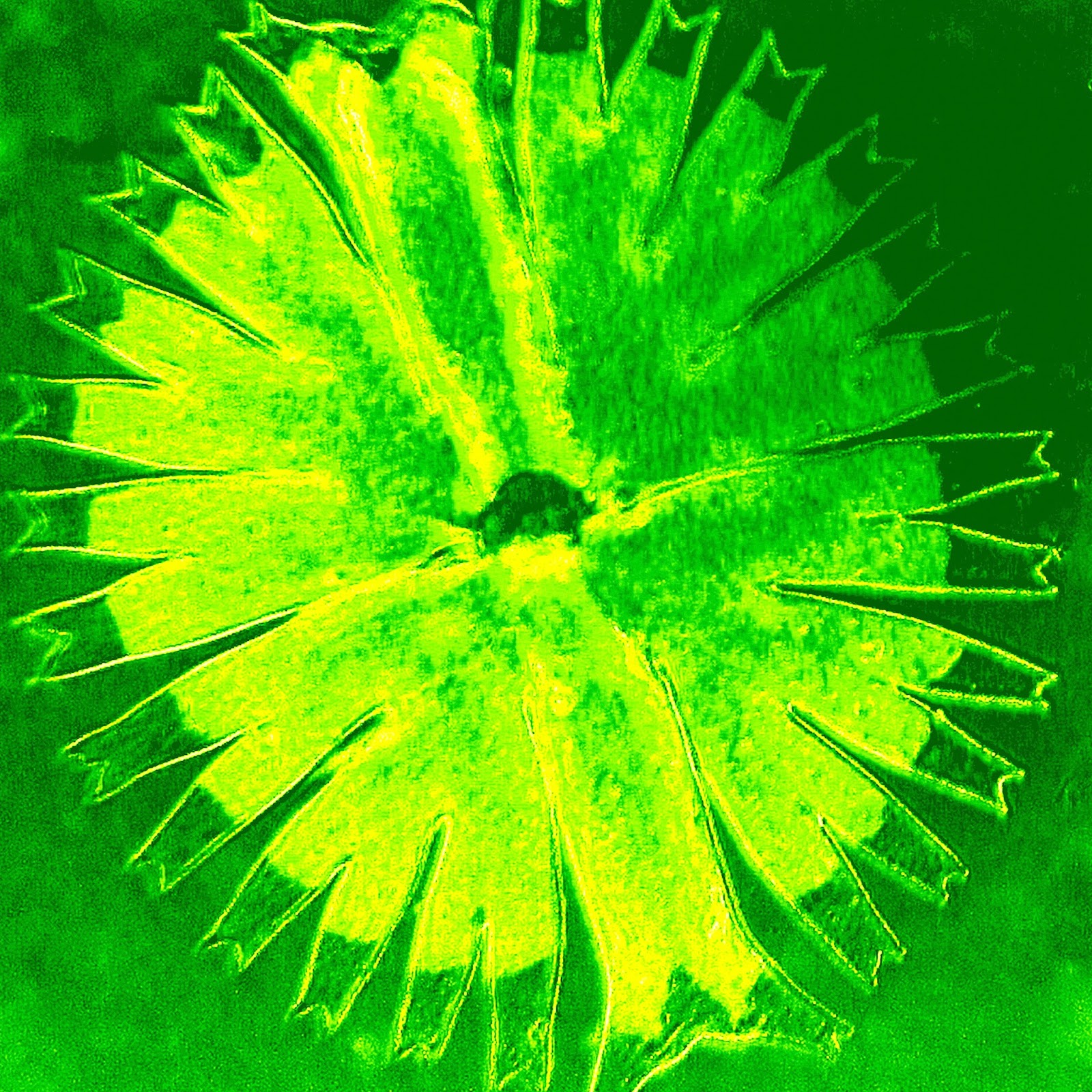 Cultivo de Microalgas em Fotobiorreatores: Microalgas para energia...