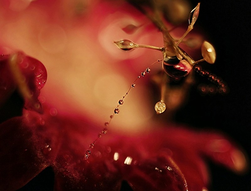 Best WallPapers: Colourful Raindrops Wallpapers