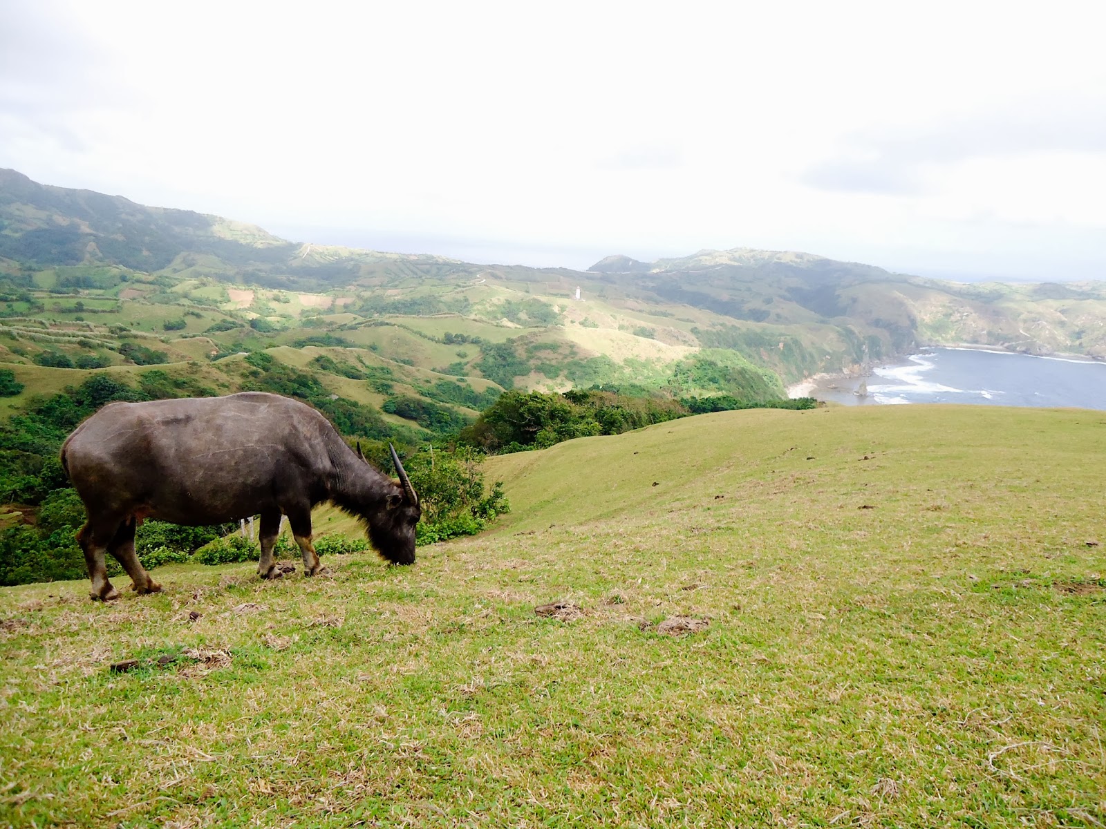 Kwatro Khanto: Beautiful Batanes- Day2