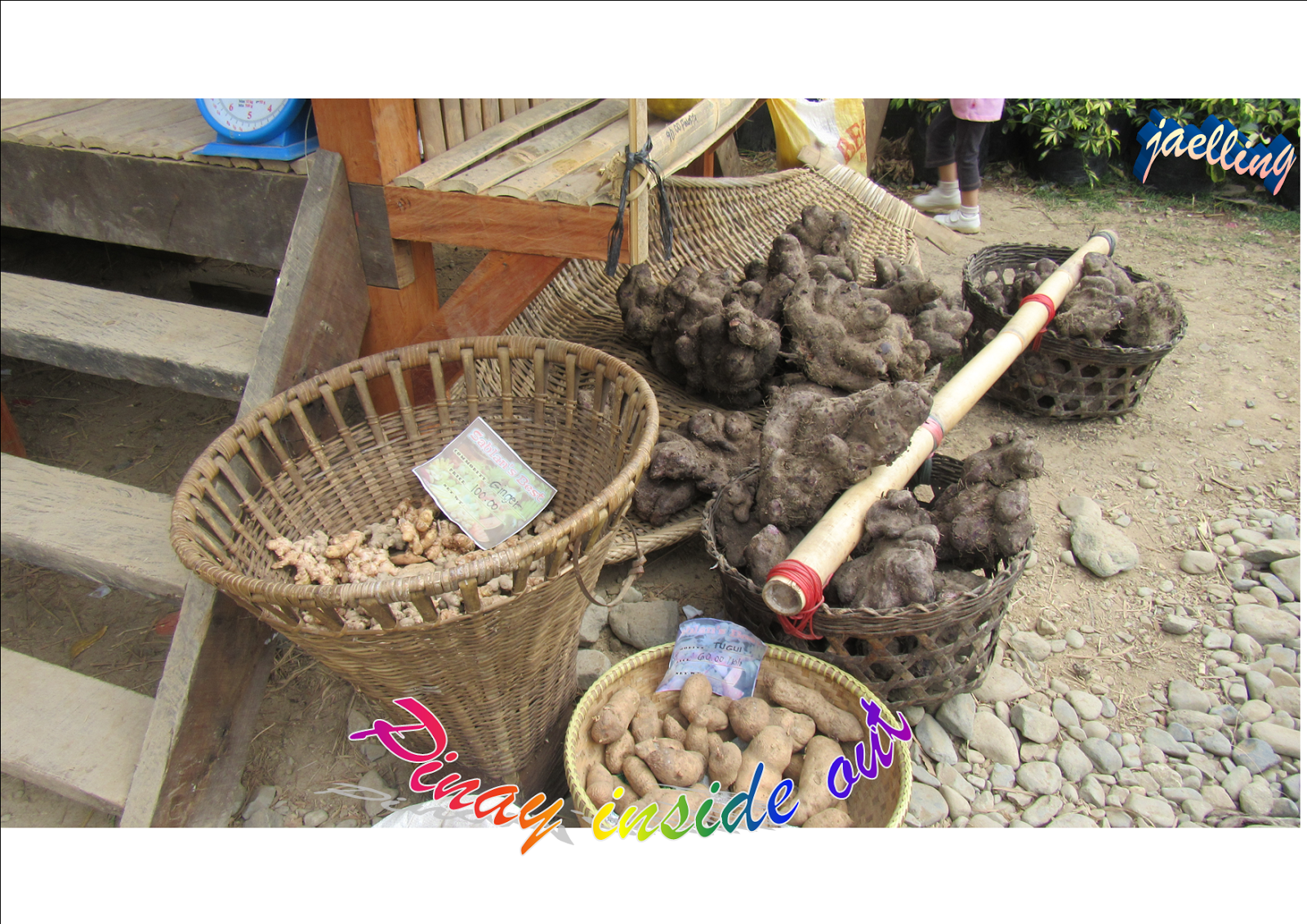 Booth of Sablan, Benguet - Adivay 2015