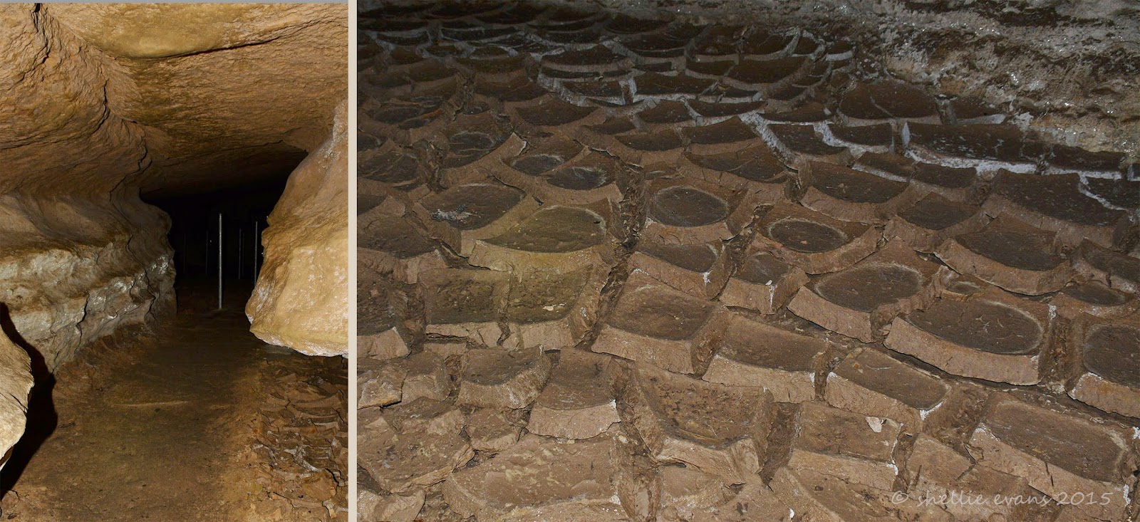 Two Go Tiki Touring: Crazy Paving & Box Canyon Caves- Oparara Basin