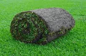 VIVERO LOS OLIVOS AUTLAN: PASTO EN ROLLO