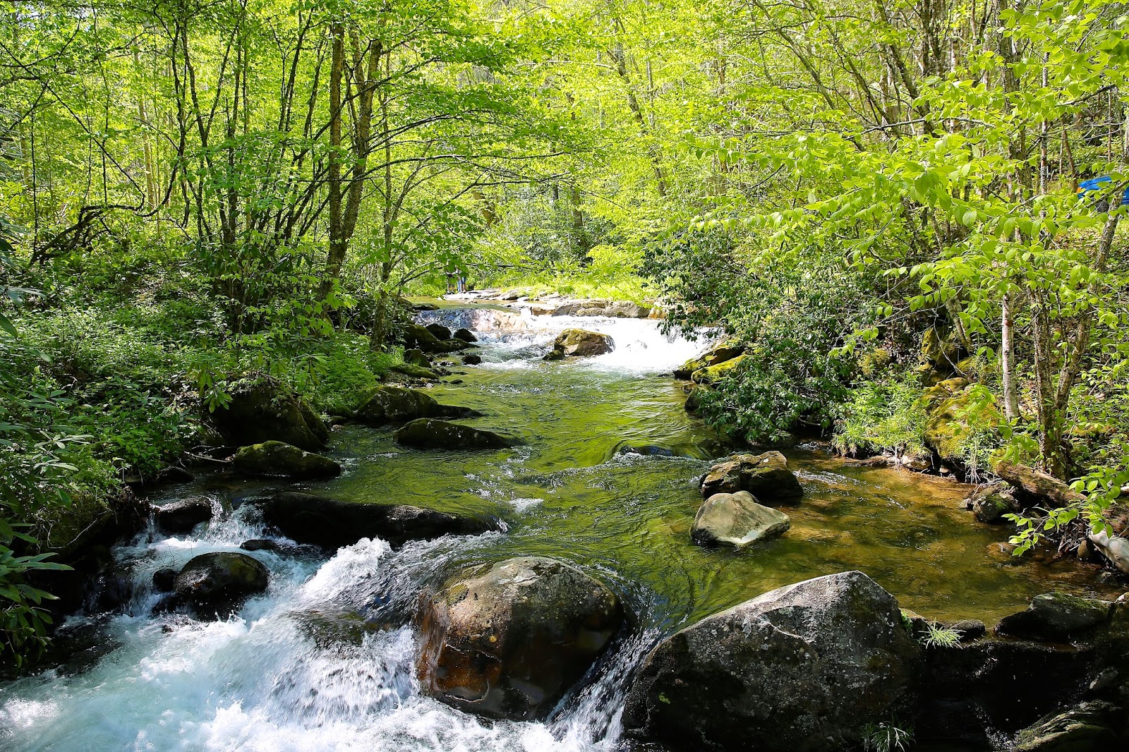 Sweet Southern Days: Springtime In The North Carolina Mountains