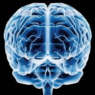 I Wanna Speak English: Como o Cérebro Aprende Inglês