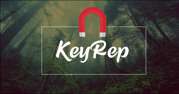 KeyRep Sinhala Typing Support Software | Aluth