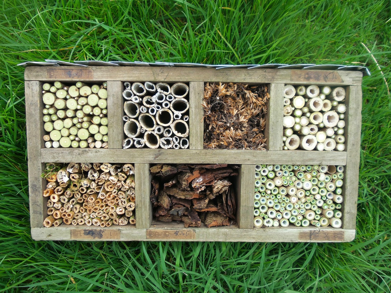 Rounded & Grounded: Bug House