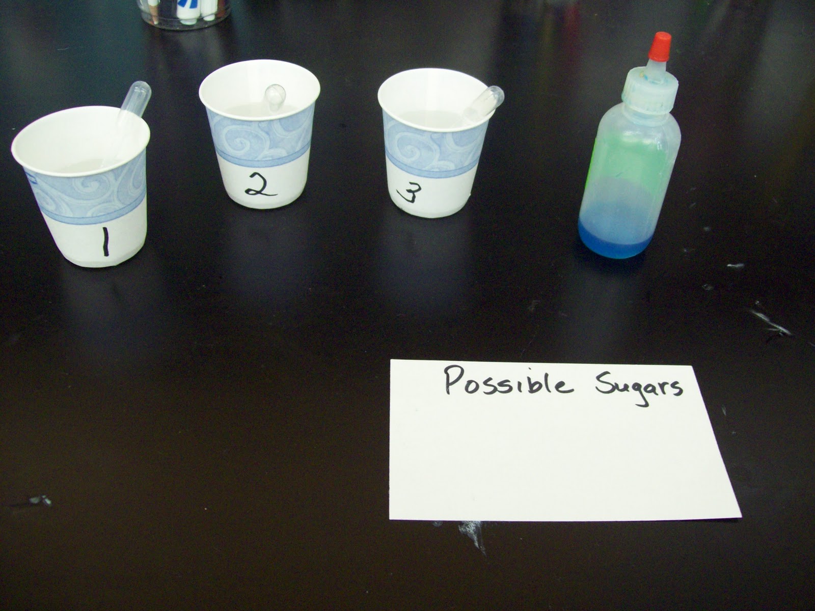 isanchezForensics: Poison Test Activity (Sunday December 4 2011)