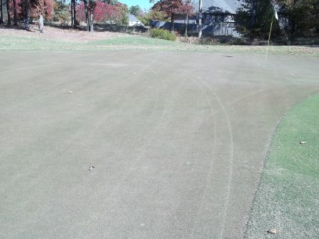 My Constant Challenges in Turf Care: Frost damage.