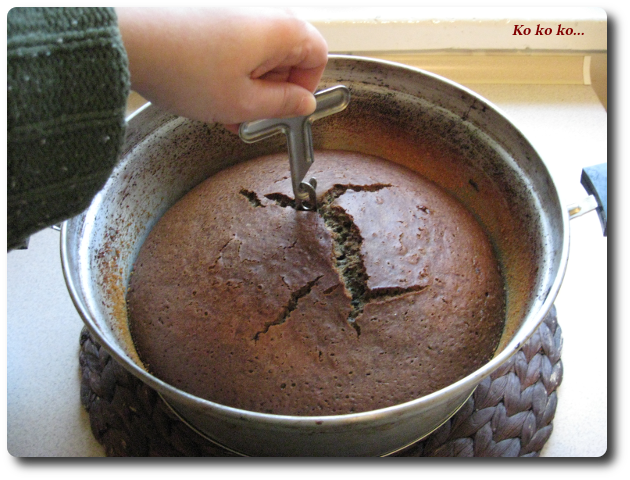 Przepisy kokoszki domowej: Polecam: prodiż