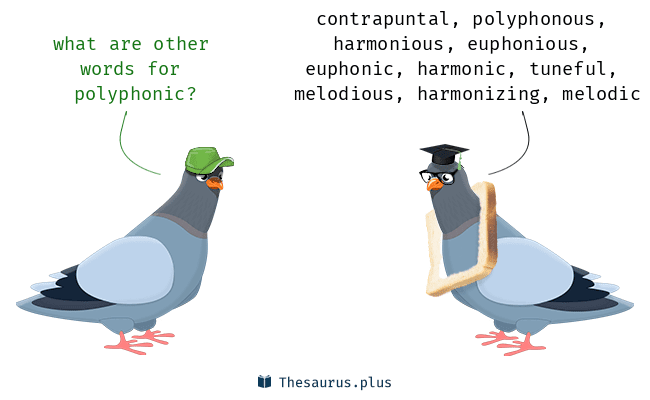 EXAMS AND ME : Polyphony