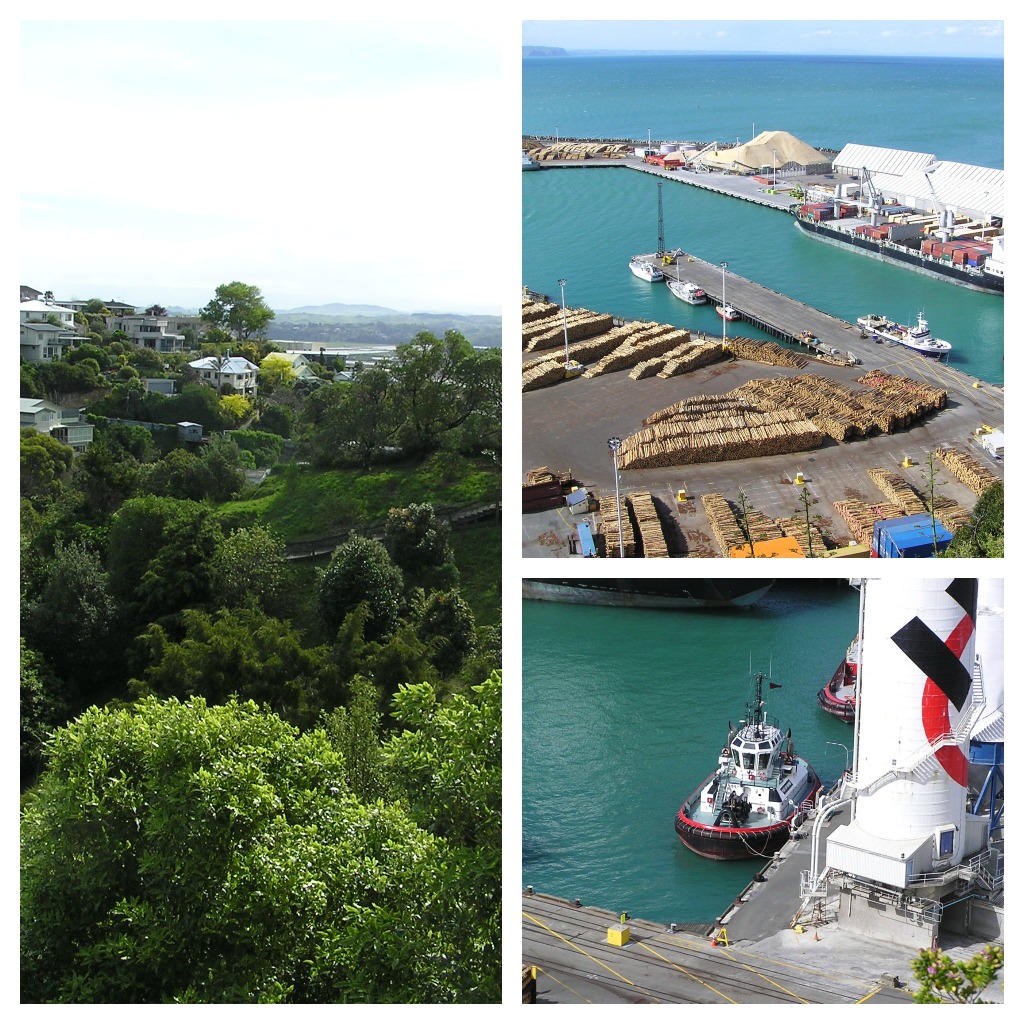 Neesie Natters: The Art Decor Town of Napier, North Island...New Zealand