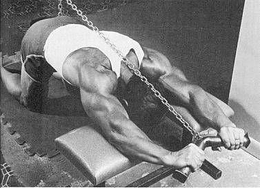 MUSCULAÇÃO CORPOSANO - SITE DE FISICULTURISMO, BODYBUILDERS, FITNESS ...