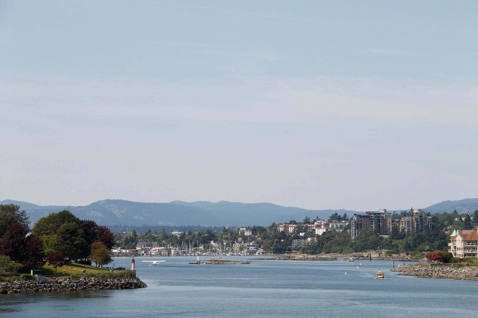 Bark and Purl: Victoria, BC