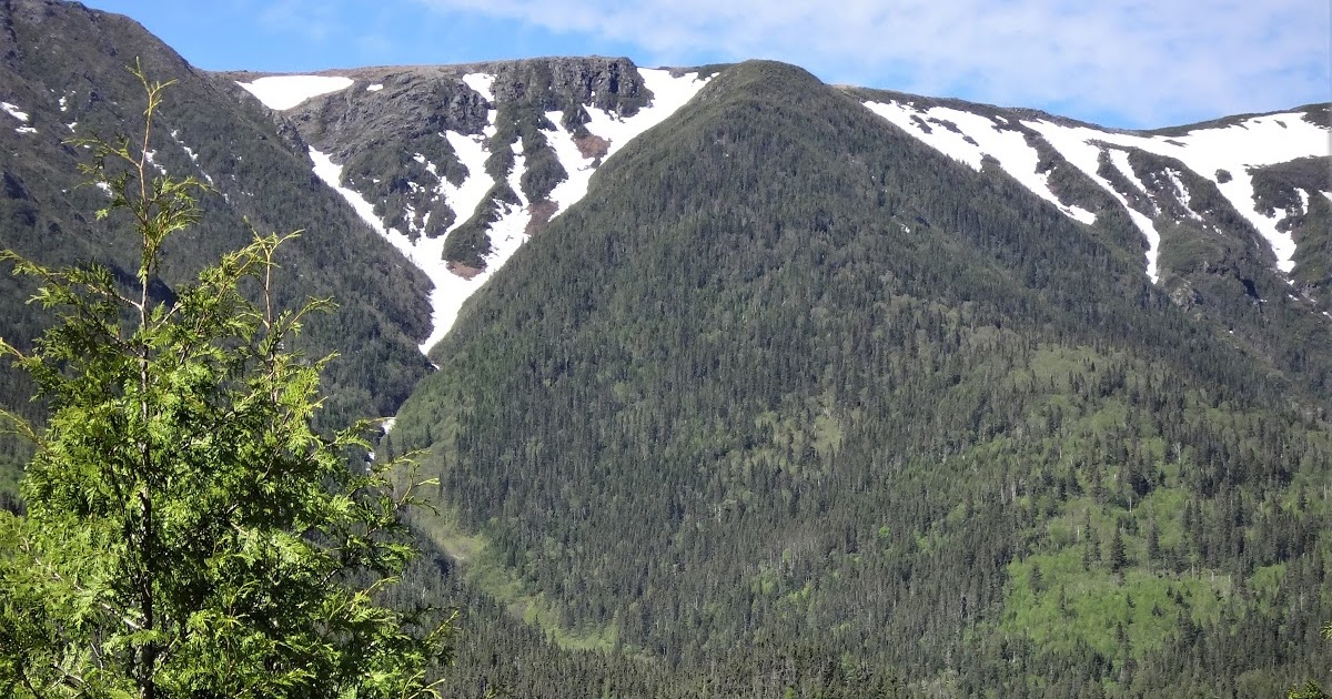C'est l'été aux Monts Chic-Chocs