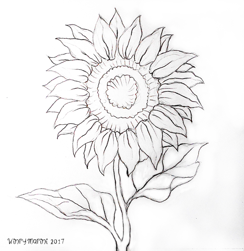Cara Melukis Bunga Matahari