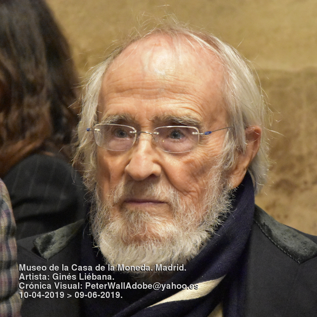 LA MIRADA ACTUAL: RETRATO Ginés Liébana entre ángeles, bestias y acorde ...