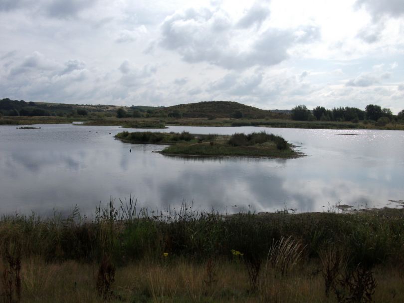Vinnyman's Birding and Nature Blog.: Middleton Lakes, RSPB Nature Reserve.