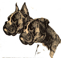 TOWERBOXER: LAS OREJAS DEL BOXER