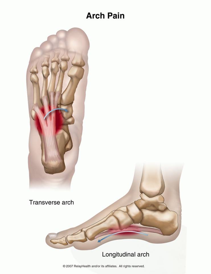 Physiotherapy and your Health
