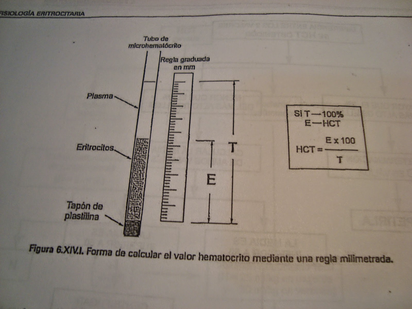 CUADERNO DE PRÁCTICAS HEMATOLOGÍA: Práctica: Determinación del valor ...