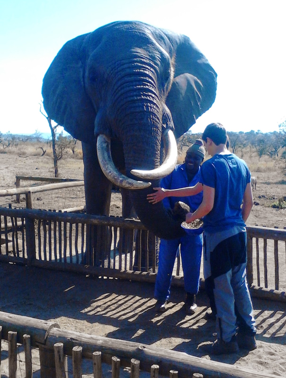 Outposts Kelly College South Africa Expedition 2014: July 2014