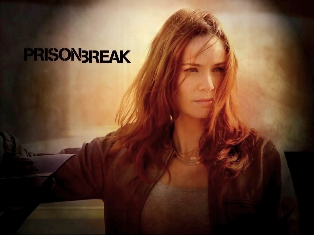 Prison Break Poster Gallery2 | Tv Series Posters and Cast