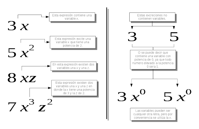 División Algebraica