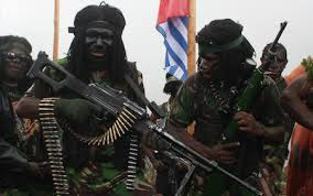 SEJARAH ORGANISASI PAPUA MERDEKA