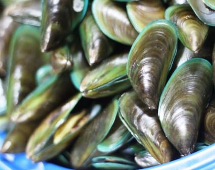 Perbezaan Siput Lala, Remis, Sedut Dan Kupang | cik sukα taip