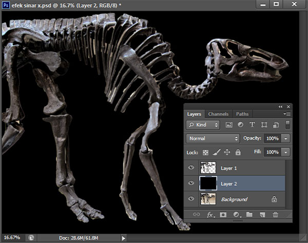 PhotoEffect: How To Create An X-Ray Image Effect In Photoshop