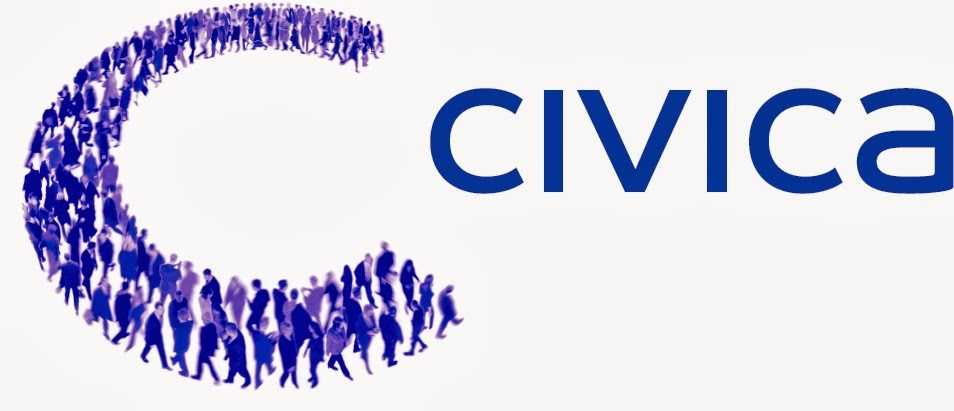 DEMOCRACIA PARTICIPATIVA: 2013