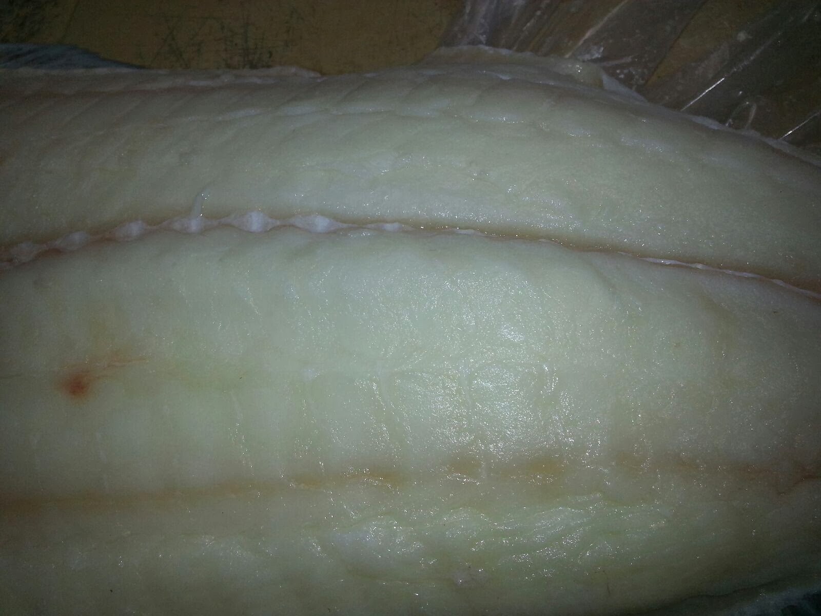 The Edible Ocean: Wild Issues With Wild Fish