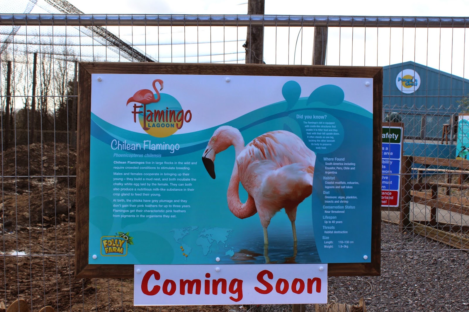 Folly Farm Adventure Park & Zoo | Review | Emily and Indiana