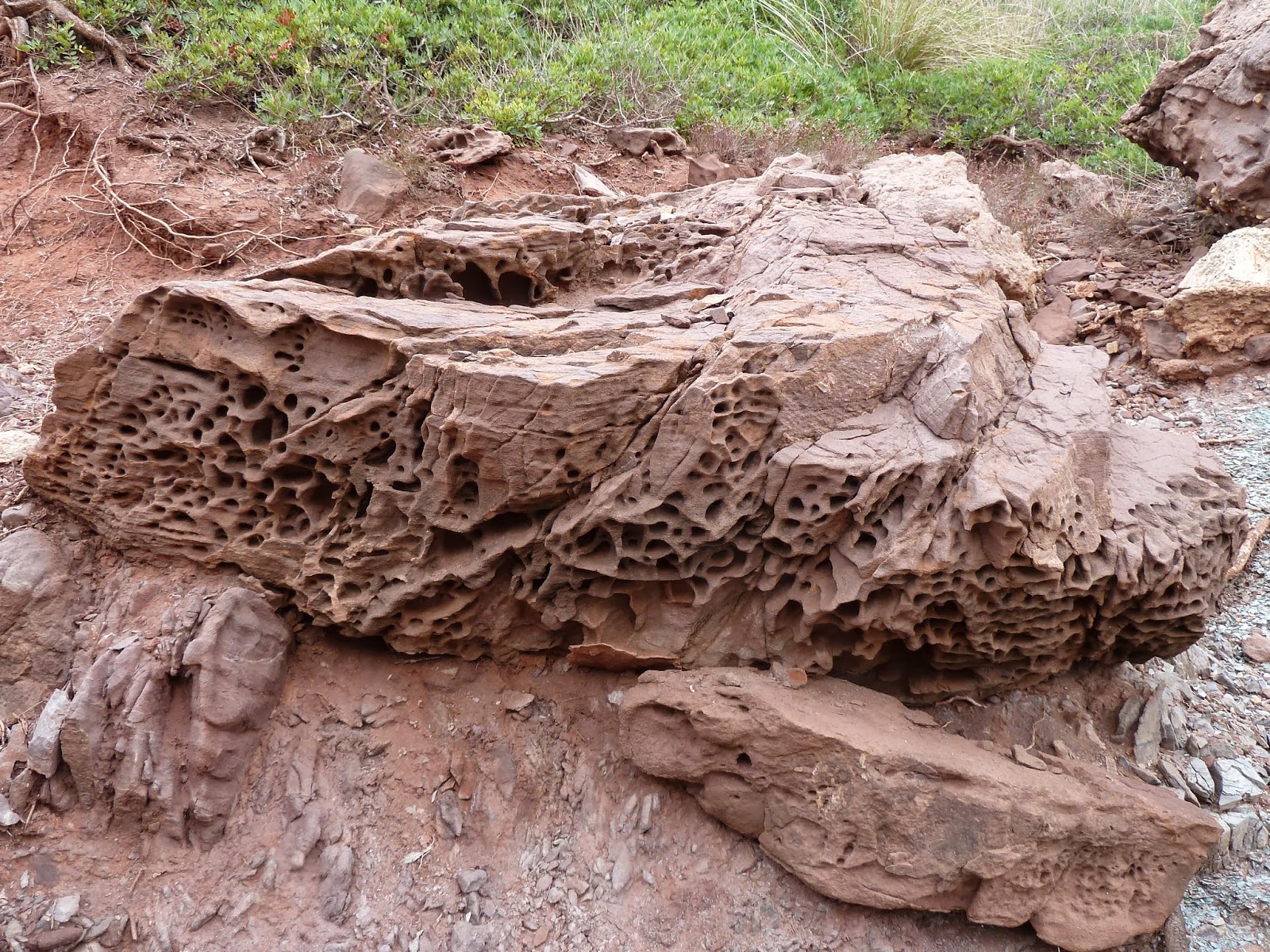 La Loc@: 27/10/13 - 3/11/13