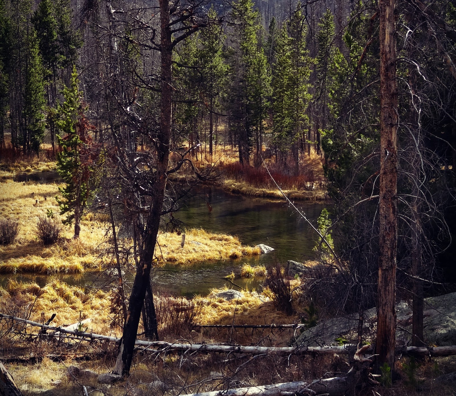 Dream Packer Wyoming Trails: New Fork Lake