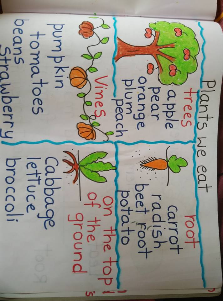 Dr. Deepti Rohan Rastogi: concept web 1: Plants