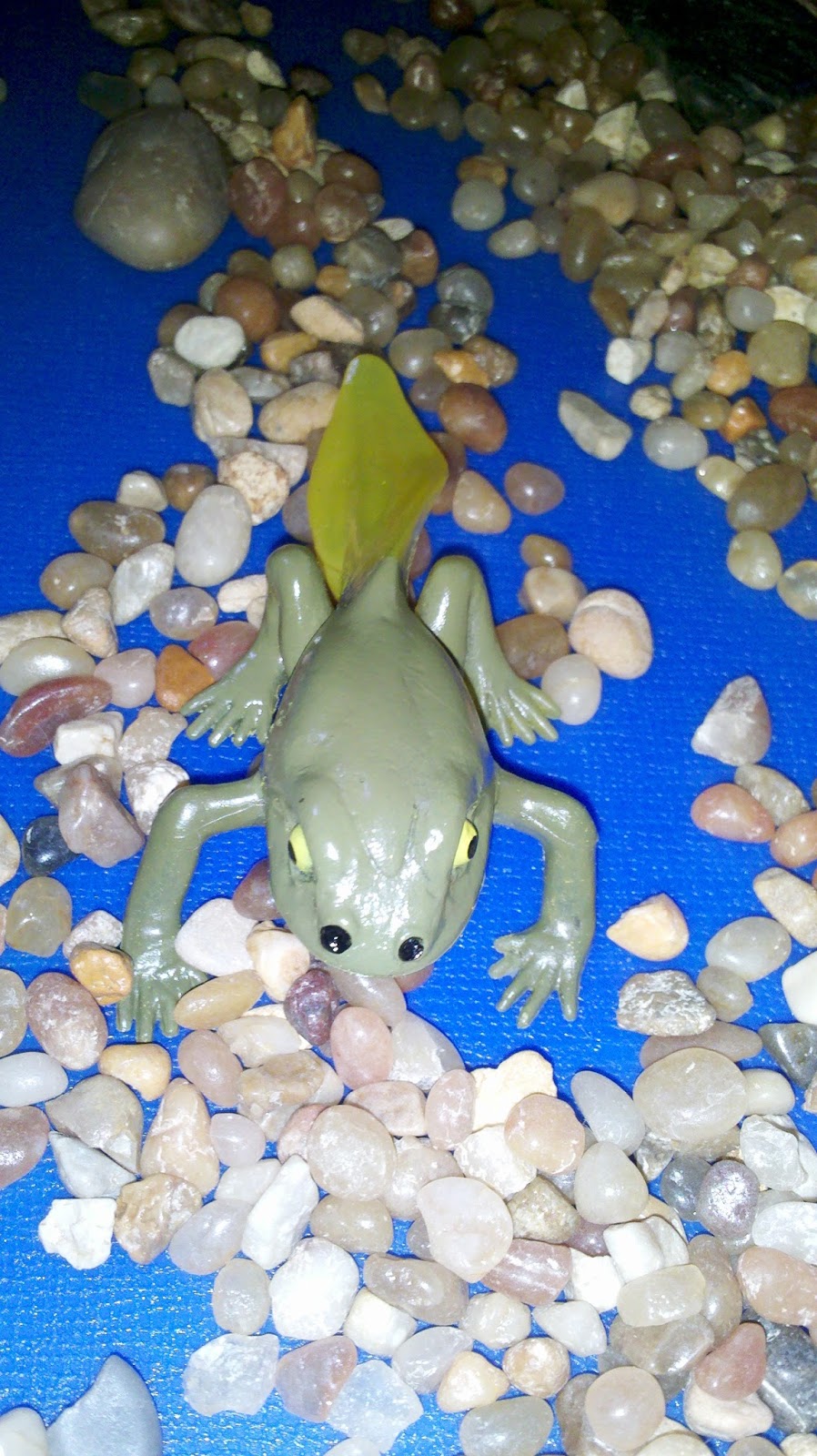 Munchkin and Bean: The Life Cycle of a Frog