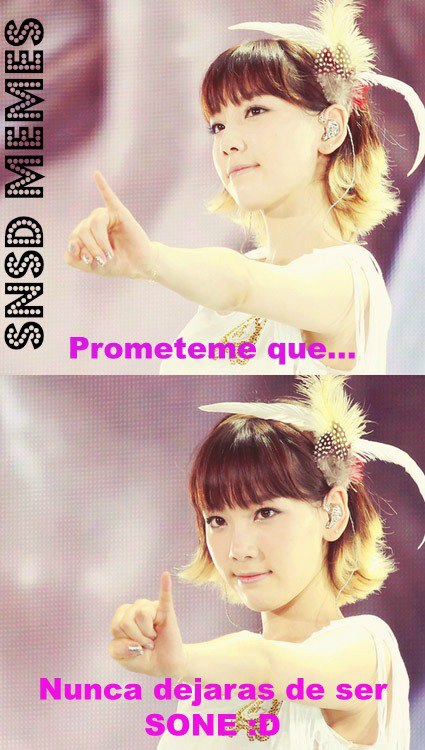 SNSD MEMES ♥