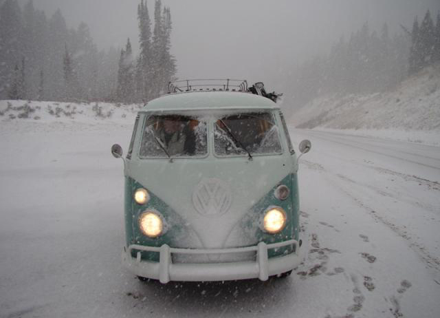 The Mama Tao: All Things Nature in Parenting: Nemo? Isn't he a gimp fish