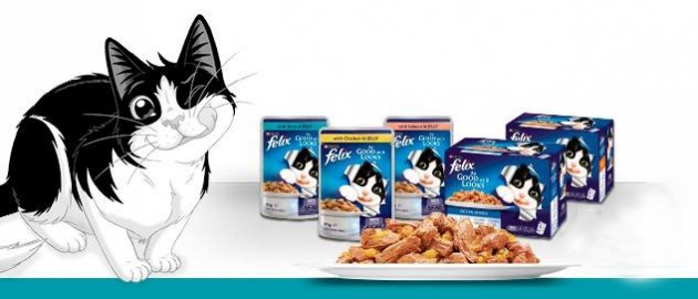 Sociologizam: Analiza reklame za ,,Felix'' hranu za mačke