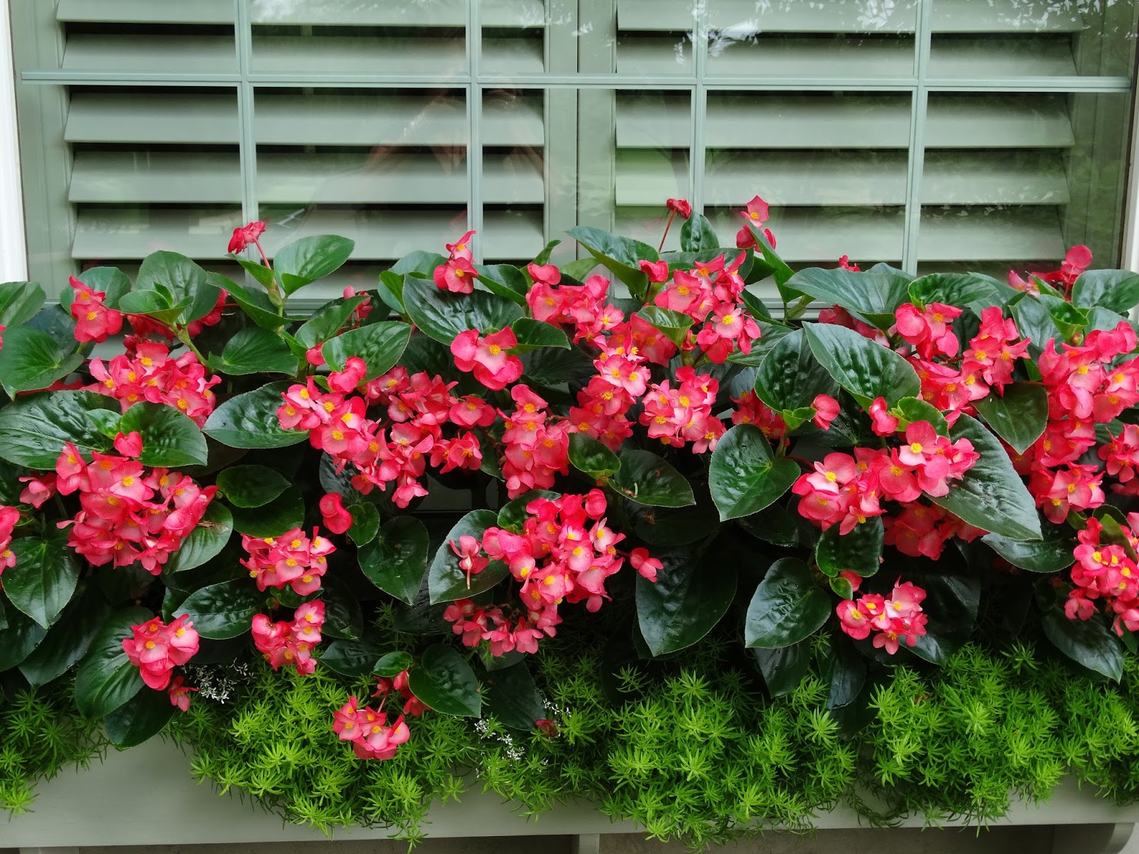 Just a little something for you...: S