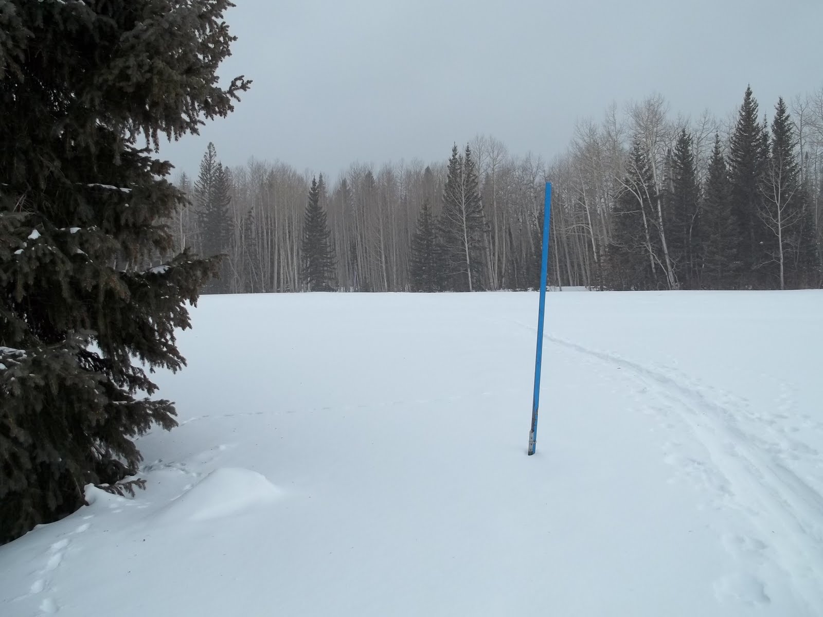 gjhikes.com: West Bench Nordic