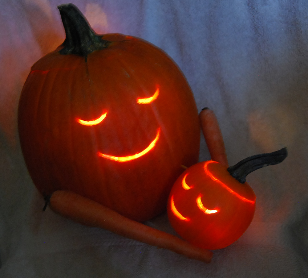 Stand and Deliver: Pregnant pumpkin gives birth, nurses baby