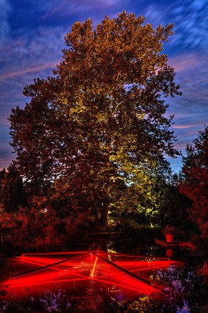 Roy Staab: photos of BECOMING A STAR when the magic begins